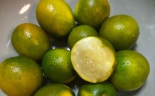 小金桔怎么吃_小金桔的吃法大全