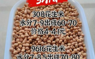 全国最大花生批发市场在哪_进货价格是多少