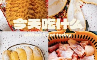 榴莲肉炖鸡的做法_榴莲肉炖鸡的功效