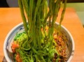 菠菜面条汤面怎么做_菠菜汤面家常做法