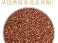 高粱米的功效与作用_高粱米是凉性吗