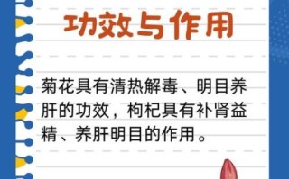 枸杞菊花茶补肾吗_枸杞菊花茶的功效与禁忌