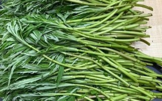 藜蒿的功效与作用_藜蒿图片长什么样