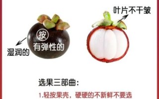 山竹产地主要在哪个省_国内山竹主产区分布