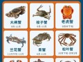 螃蟹种类及名称图片_如何快速识别常见蟹类