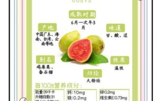 吃芭乐要不要吐籽_芭乐籽能吃吗