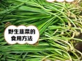 山韭菜图片_如何辨别真假山韭菜