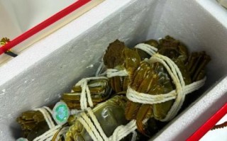 大闸蟹能放几天不死_如何保存活蟹更久