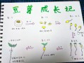 黄豆发芽需要几天_黄豆七天生长记录