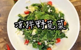 野苋菜怎么吃最好_野苋菜的做法大全