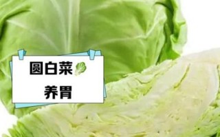 圆白菜的功效与作用_圆白菜怎么吃最营养