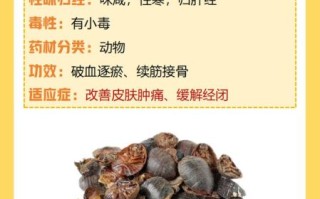 土鳖虫图片_土鳖虫的功效与作用