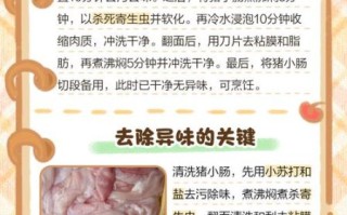 洗猪肠子最快最干净的方法_猪肠子怎么洗才没异味