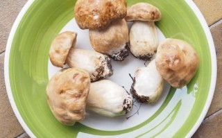 鲜香菇包饺子要焯水吗_香菇饺子馅焯水技巧