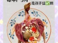 小孩蒸鸽子怎么做_蒸鸽子适合孩子吃吗