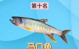 十大凶猛淡水鱼有哪些_如何区分攻击性