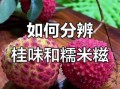 桂味和糯米糍哪个贵_价格差异解析