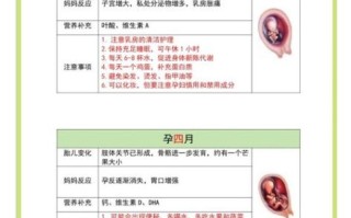 孕早期吃什么好_孕早期饮食禁忌有哪些