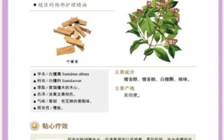 檀香精油的功效与作用_檀香精油怎么用效果最好