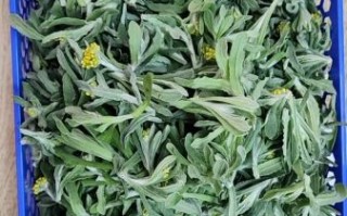 清明菜粑粑怎么做_清明菜粑粑的功效与作用