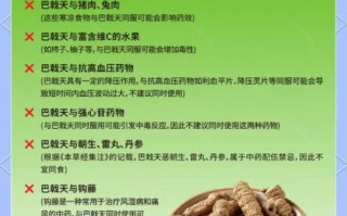 巴戟的功效与作用有哪些_巴戟怎么吃效果最好