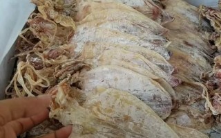 微波炉烤鱿鱼干要多久_微波炉烤鱿鱼干的做法