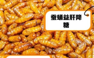 蝉蛹的功效与作用禁忌_哪些人不能吃蝉蛹