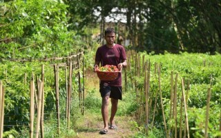 阿萨姆邦旅游最佳时间_阿萨姆邦有什么特产