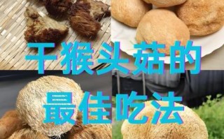 干猴头菇怎么吃_干猴头菇的做法