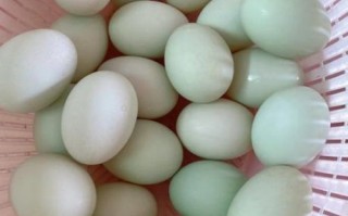 咸鸭蛋怎么腌制才出油好吃不咸_家庭实用技巧