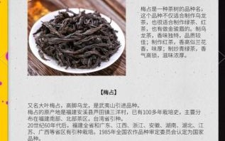 乌龙茶属于红茶还是绿茶_区别与分类详解