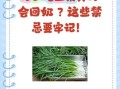 产妇能吃韭菜吗_月子里吃韭菜的注意事项