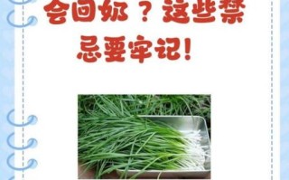 产妇能吃韭菜吗_月子里吃韭菜的注意事项