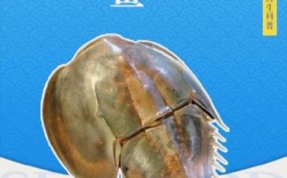 中华鲎血为什么是蓝色_中华鲎血有什么药用价值