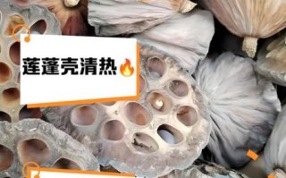莲蓬煮水的功效与作用_莲蓬煮水能减肥吗