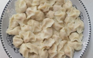 白萝卜饺子馅怎么调好吃_白萝卜饺子馅的做法大全家常