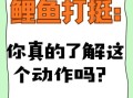 鲤鱼打挺是成语吗_鲤鱼打挺算不算成语