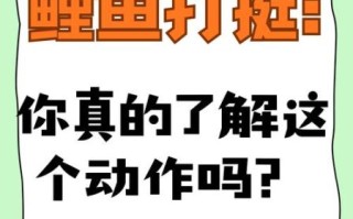 鲤鱼打挺是成语吗_鲤鱼打挺算不算成语