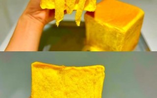 南瓜奶酪怎么做_南瓜奶酪的做法大全