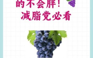 减肥期间可以吃葡萄吗_葡萄热量高吗