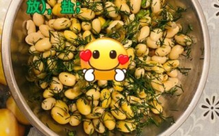 黄豆做茴香豆怎么做_家常茴香豆做法
