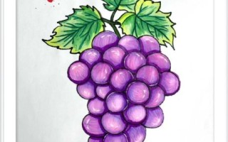 葡萄图片卡通怎么画_卡通葡萄简笔画教程