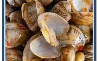 辣炒蚬子怎么炒_蒜蓉辣酱用多少