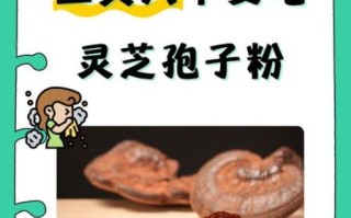 灵芝孢子粉不适合人群_哪些人不适合吃灵芝孢子粉