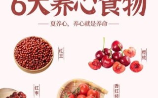 夏天吃什么养生最好_夏季养生食物推荐