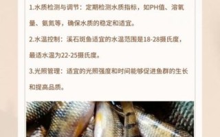 淡水石斑鱼吃什么饵料_淡水石斑鱼饵料配方