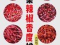 中国最辣的辣椒排名_到底有多辣