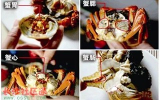螃蟹哪些部位不能吃_蟹腮蟹心蟹胃在哪里