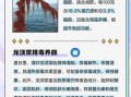 龙须菜的营养价值_龙须菜怎么吃最营养