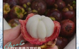 山竹里面黄黄的是坏了吗_还能不能吃